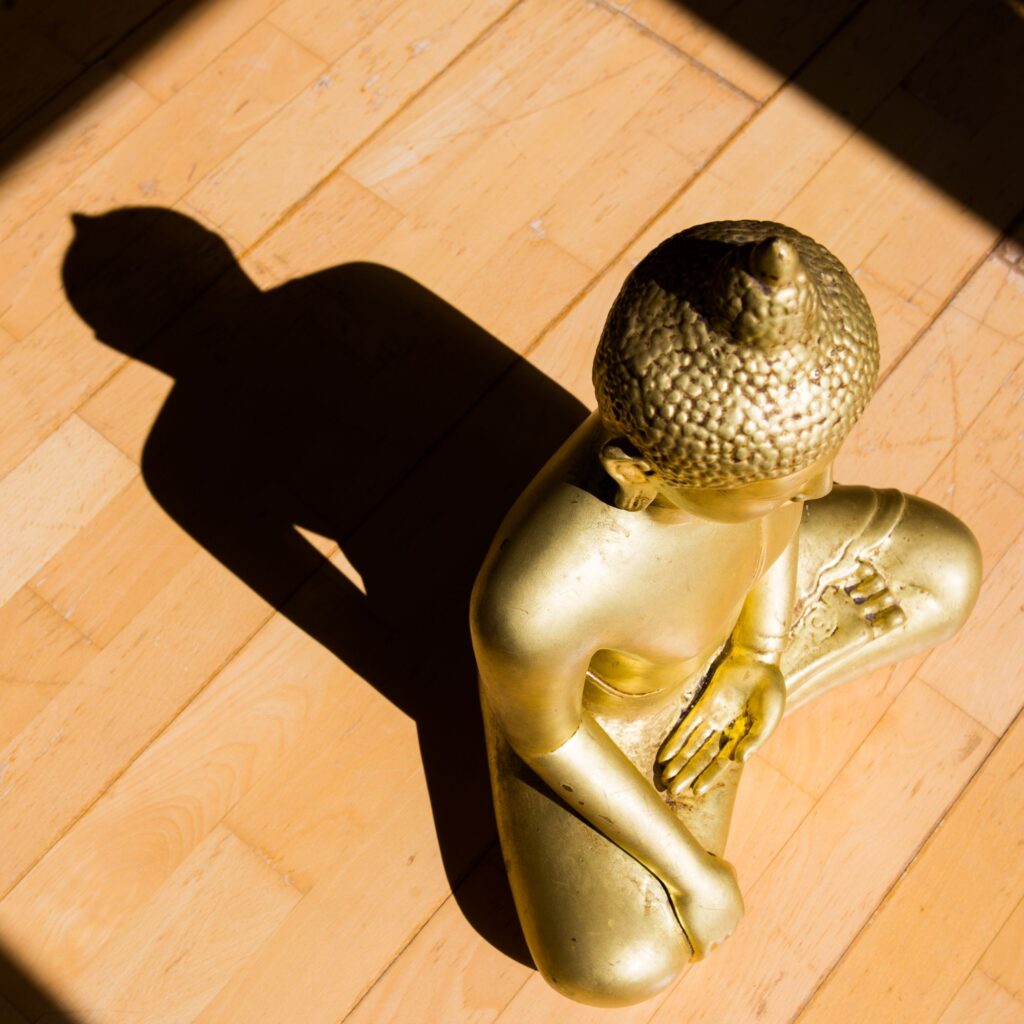 Brighton Buddhist Centre | Meditation, Mindfulness, Yoga & Tai Chi